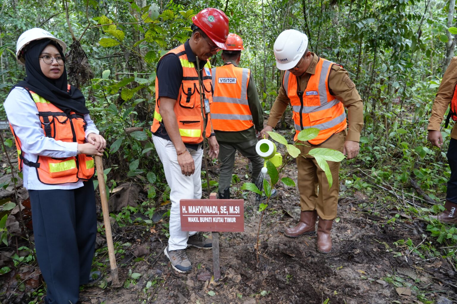Wakil Bupati Mahyunadi Tanam Pohon Ulin di Arboretum IMM, Upaya ...